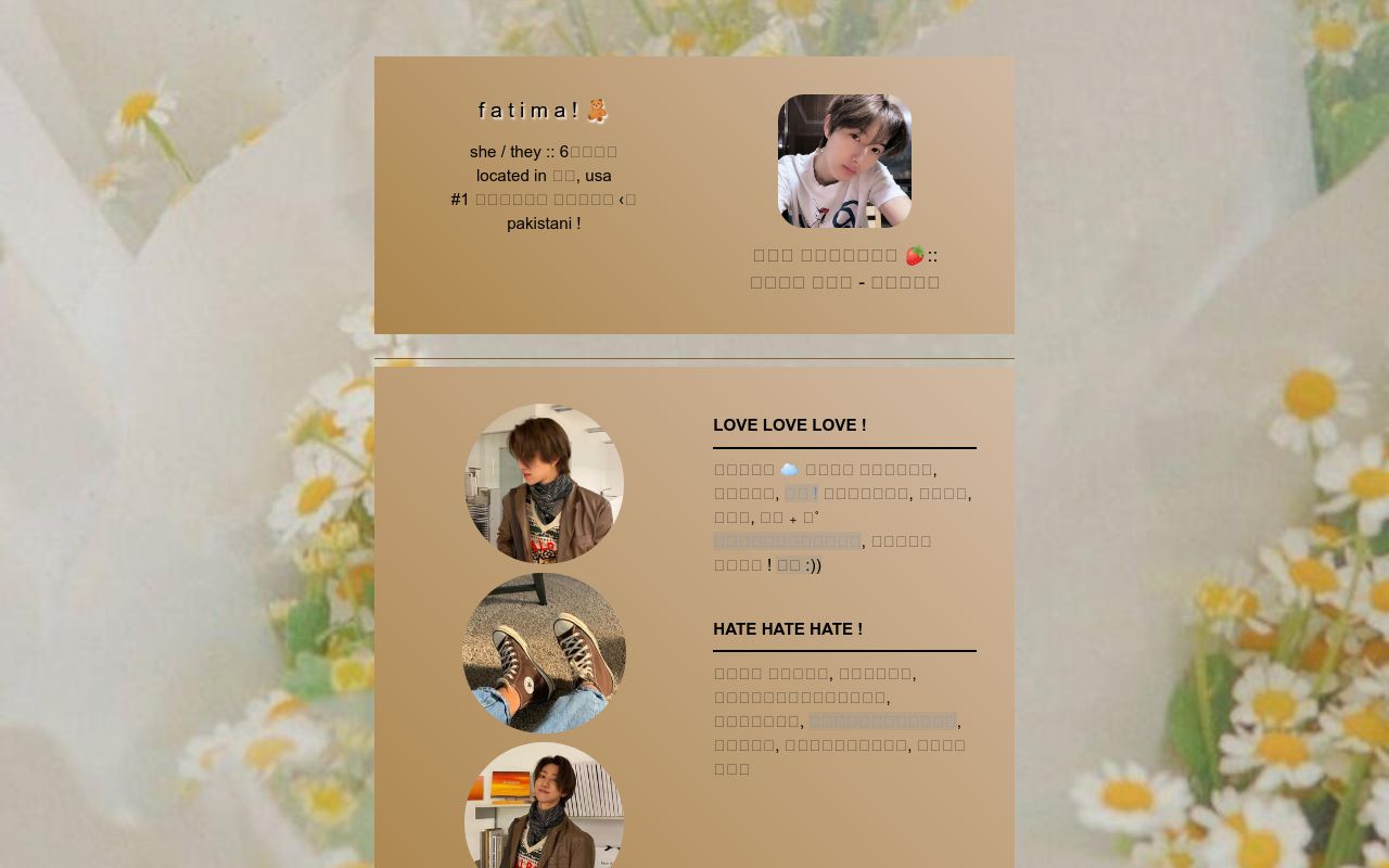 fatima's carrd ! ⋆·˚ ༘